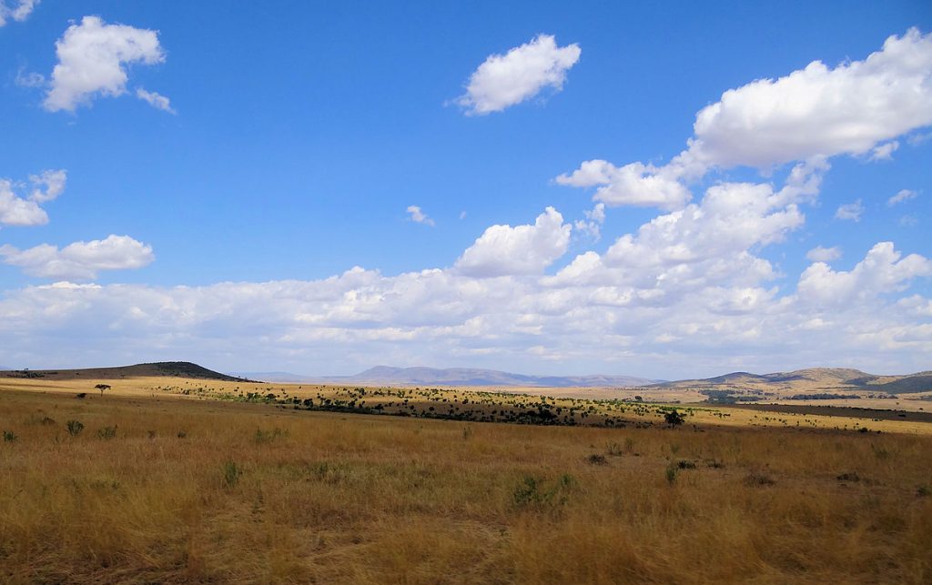 3 DAYS MASAI MARA GROUP JOINING SAFARI ITINERARY/PROGRAM - Estleon ...